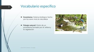 Los paisajes de España | PPTX