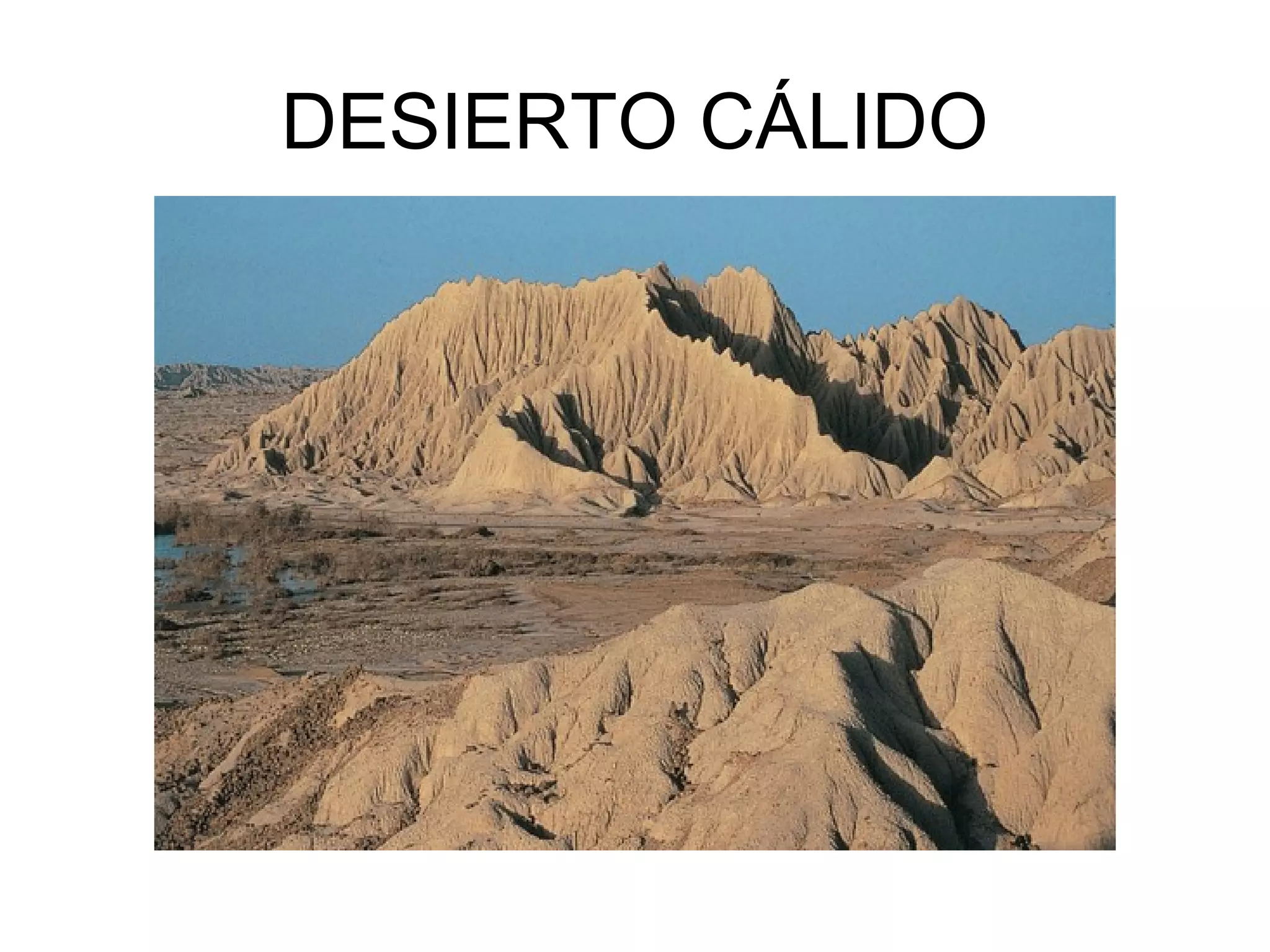 Los paisajes de las zonas climáticas de la tierra | PPT
