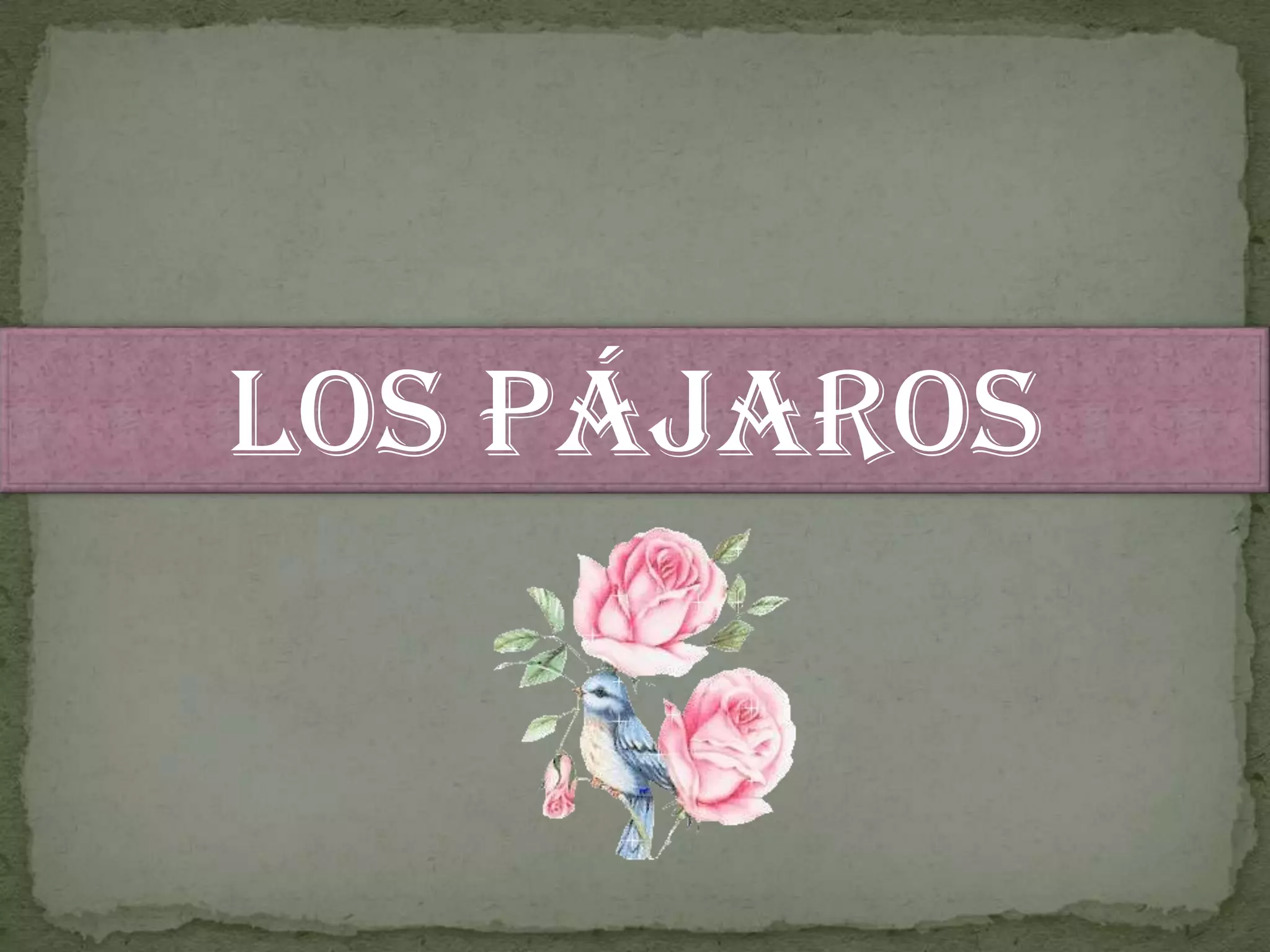 Los Pajaros | PPTX
