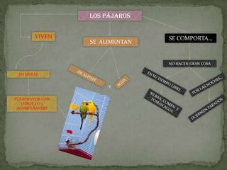 Los Pajaros | PPT