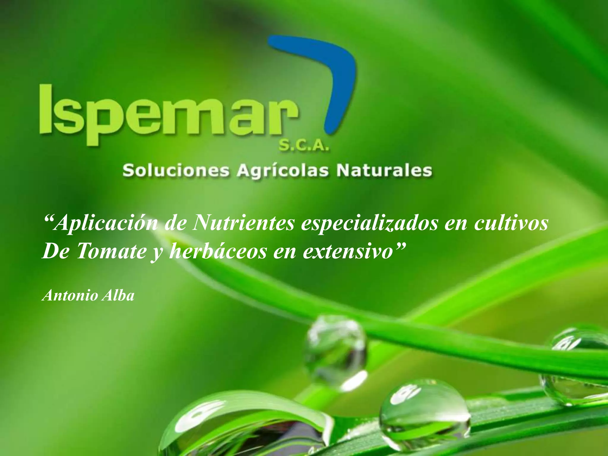Aplicación De Nutrientes Especializados En Cultivos De Tomate Y
