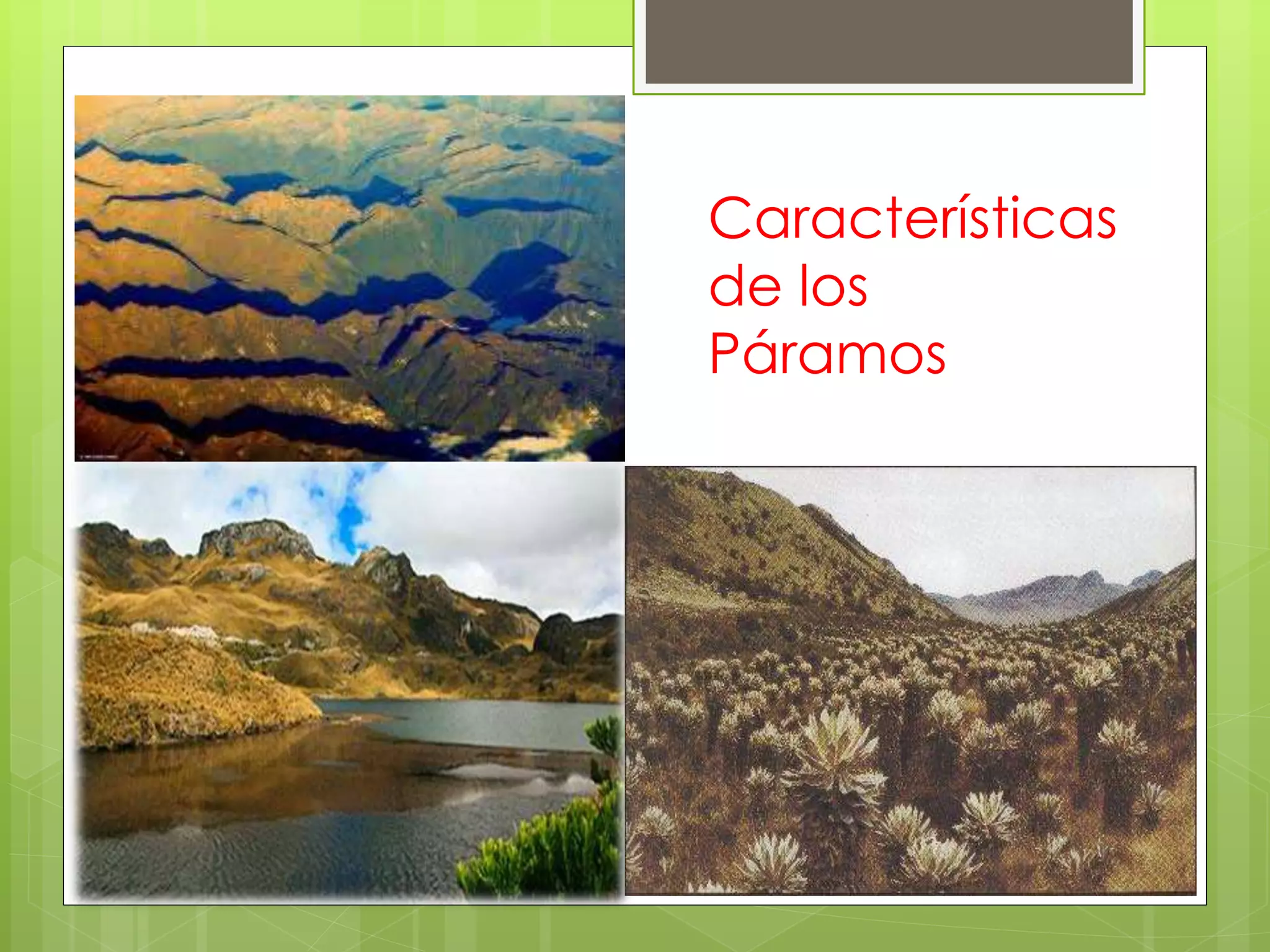Los paramos y su importancia | PPTX