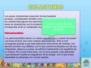 Los peces | PPTX