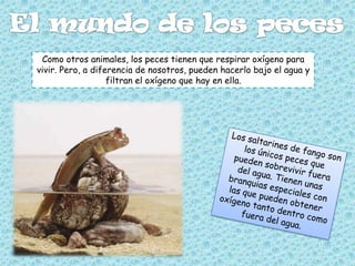Los peces 2º de Primaria | PPTX
