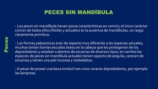 Los peces | PPTX