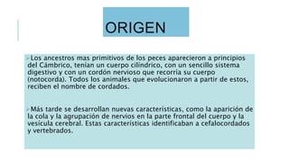 Los peces | PPTX