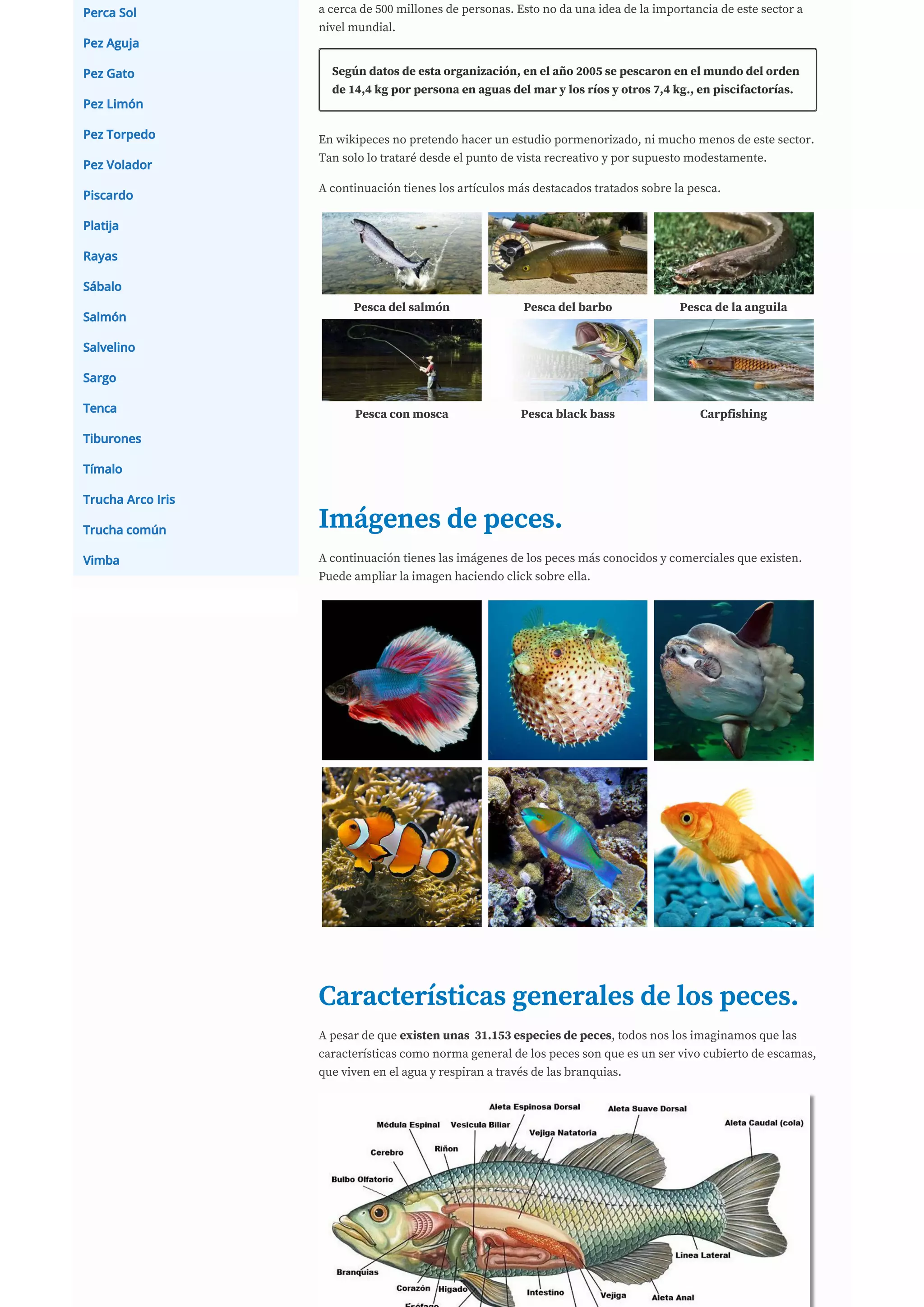 Los peces_ información Útil de las especies más conocidas | PDF