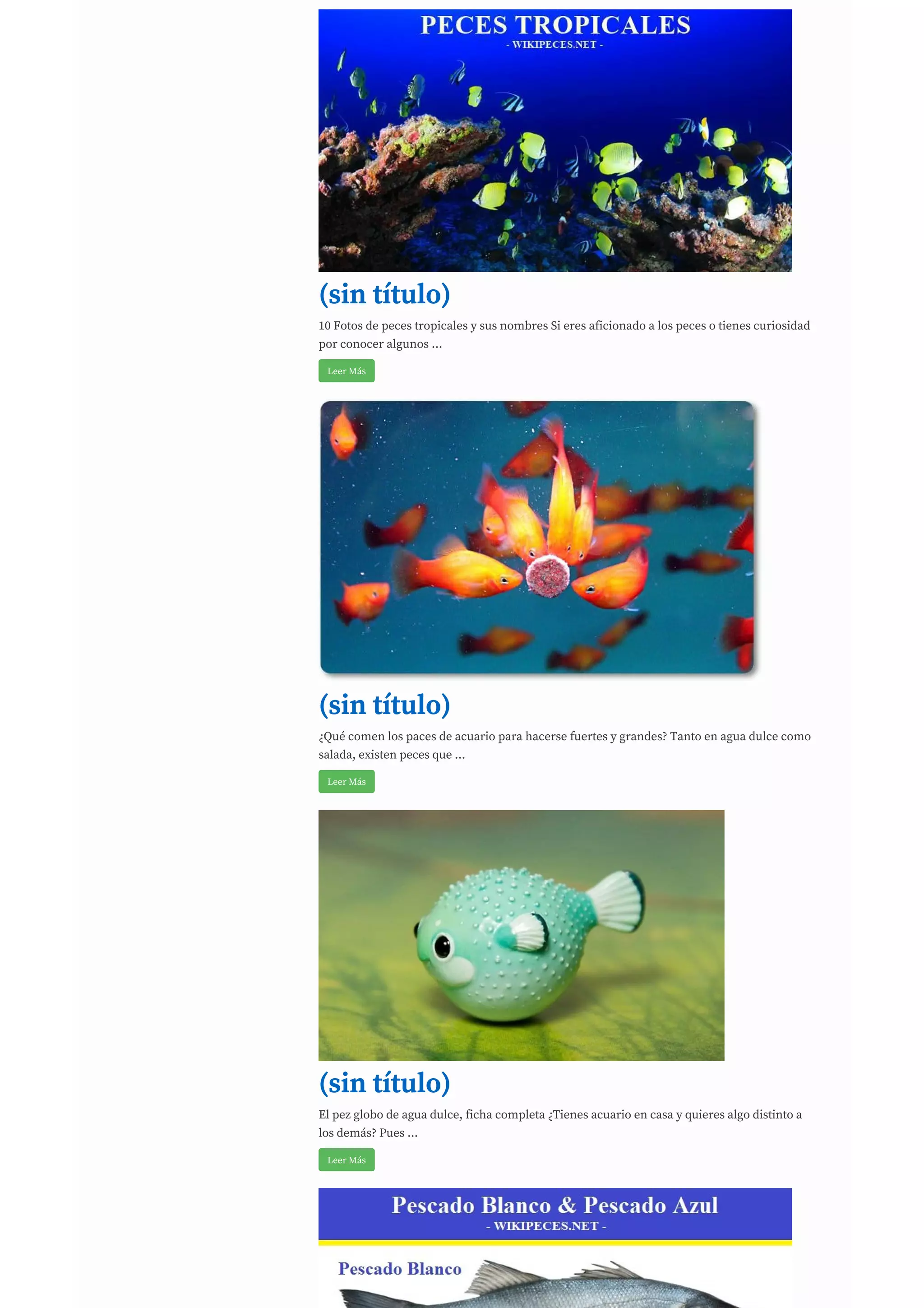 Los peces_ información Útil de las especies más conocidas | PDF