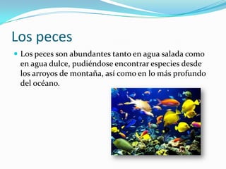 Los peces, 1a parte (clasificación de) | PPSX