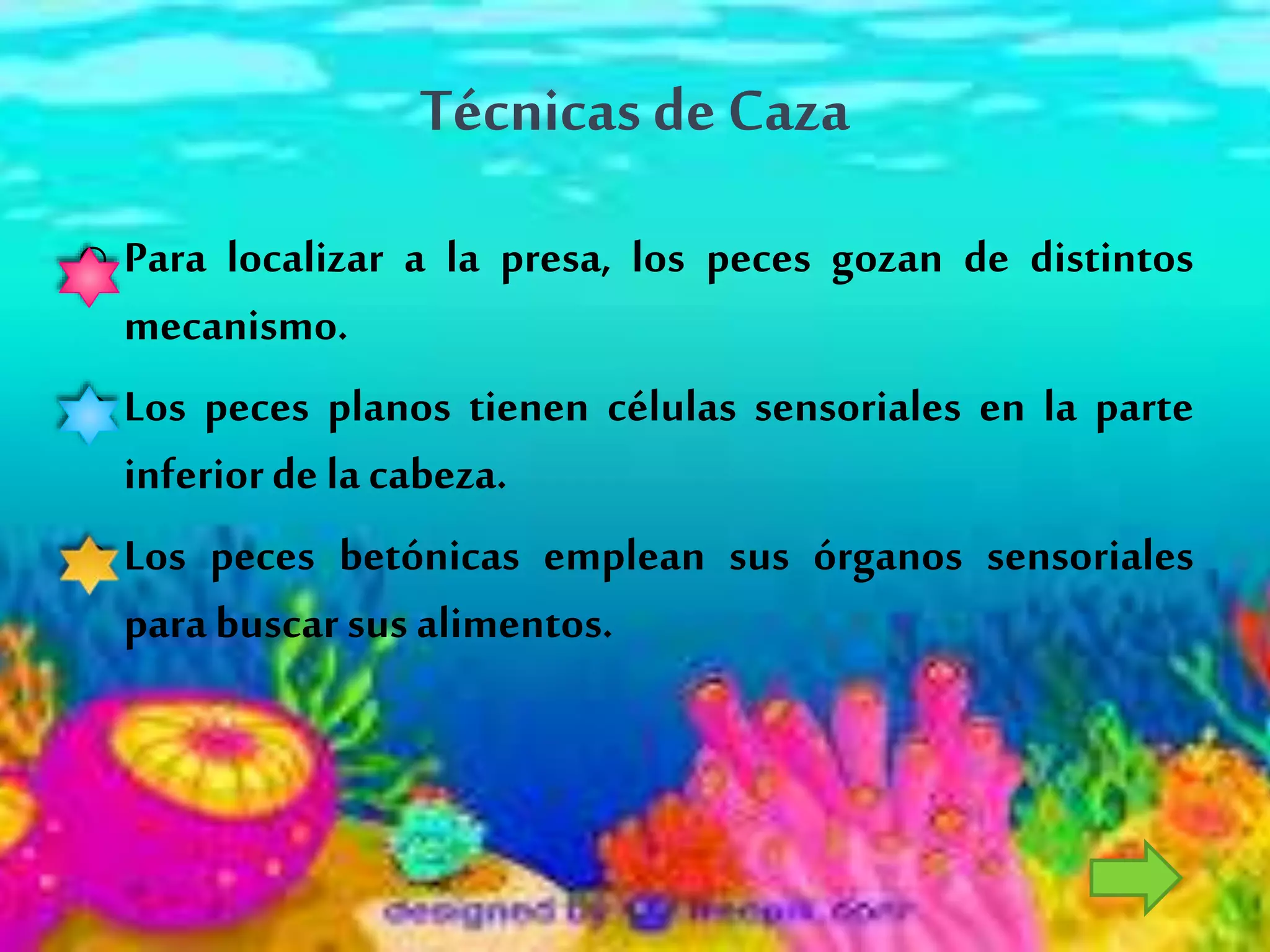 Los peces | PPT
