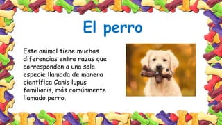 Los perros | PPTX