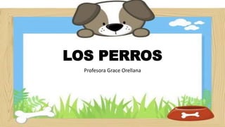 Los perros | PPTX