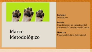 Los perros callejeros | PPTX