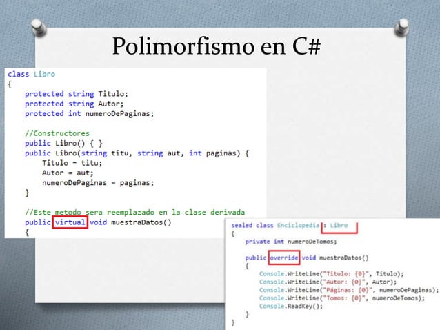 Los pilares de la poo | PPTX