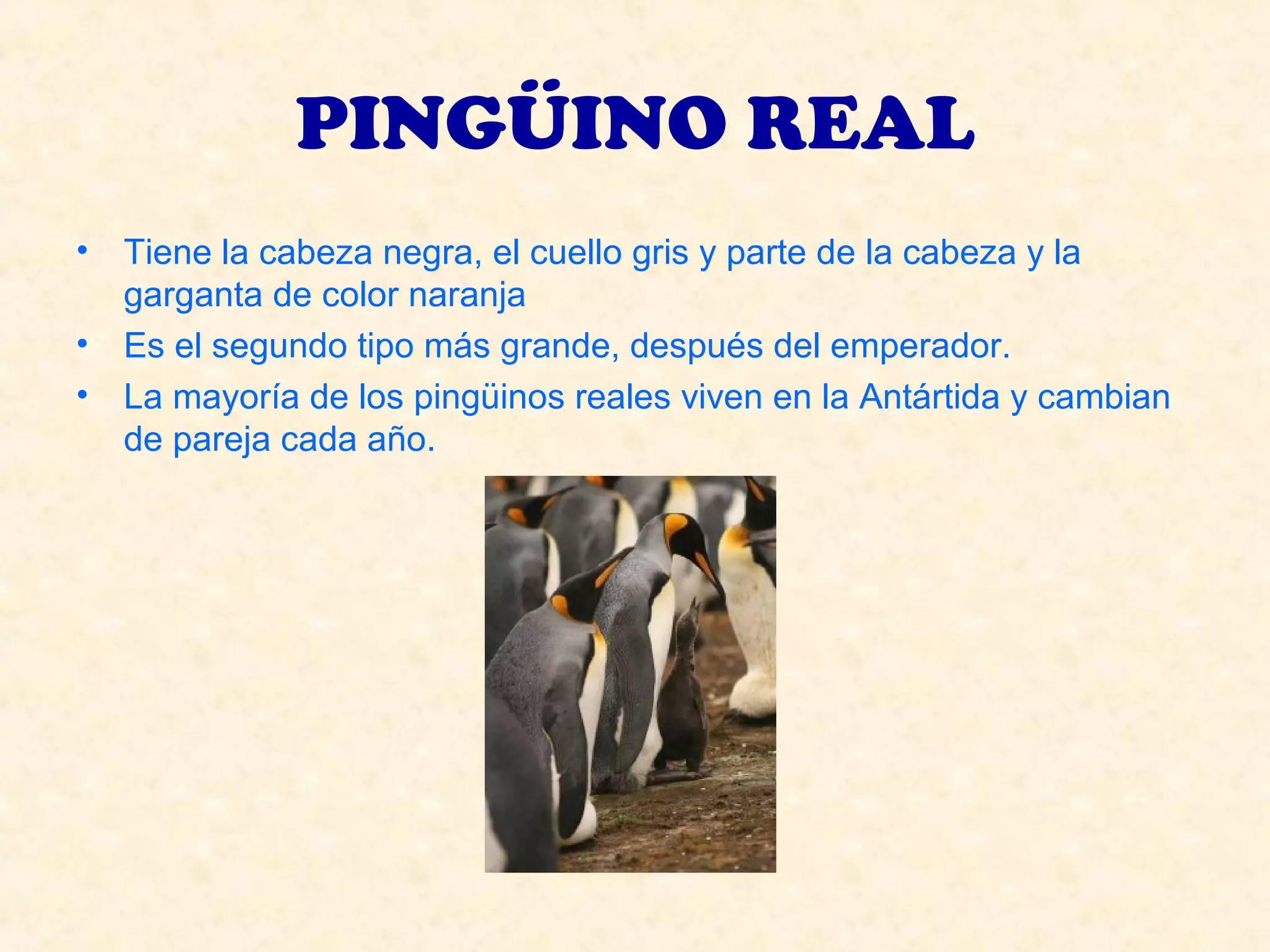 Los pingüinos 2 | PPT