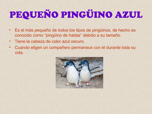 Los pingüinos 2 | PPT