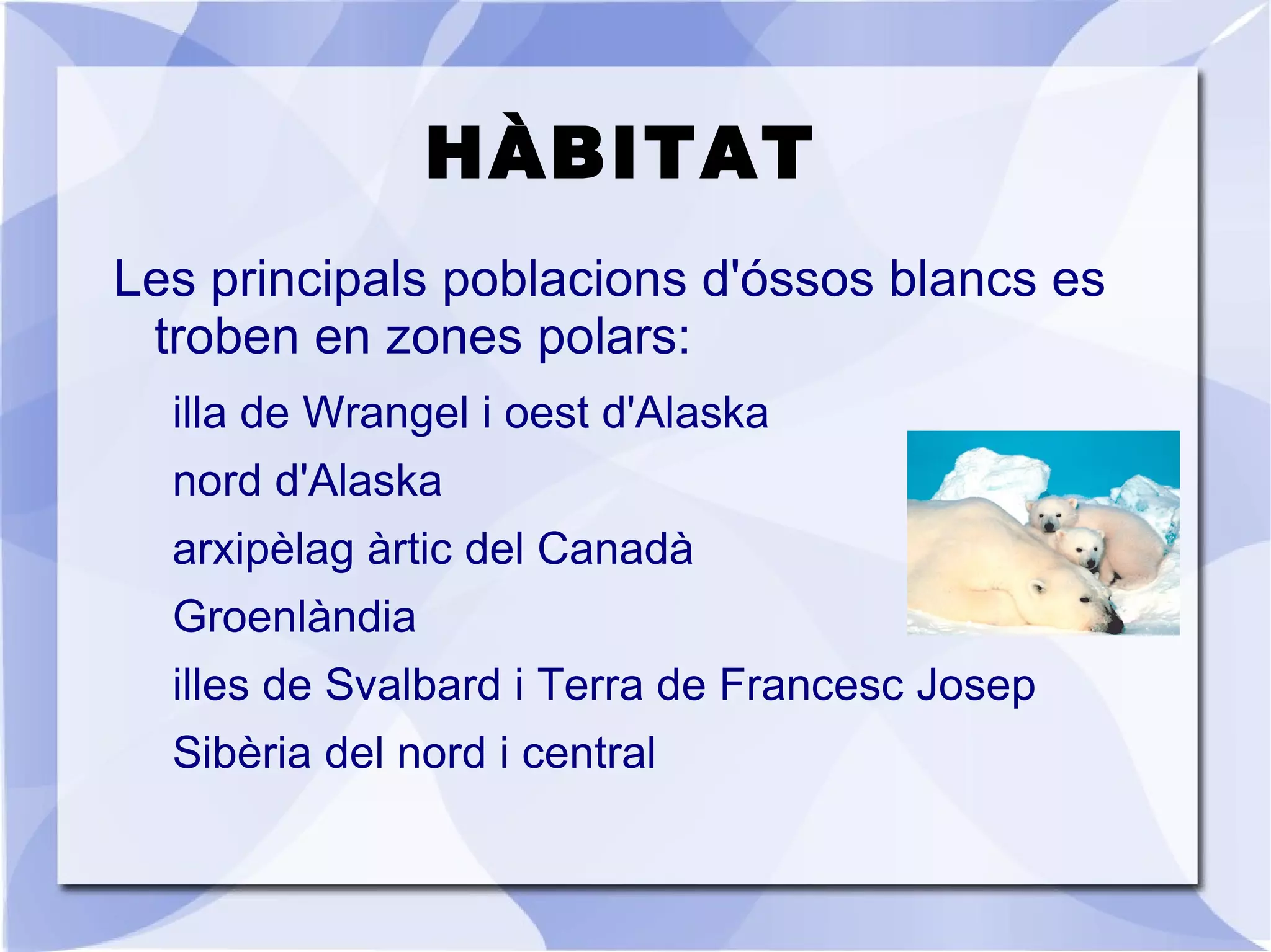 L'ós polar (Oriol) | ODP