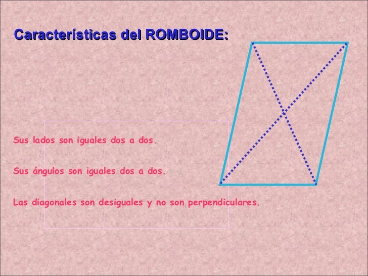 Los poligonos E. Primaria