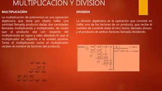 Los polinomios | PPTX