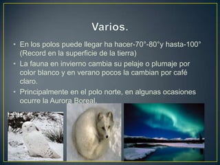 Los polos | PPTX