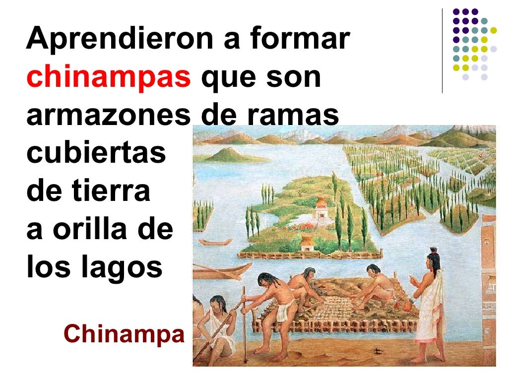 Los primeros pobladores l1