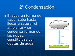 Proceso De Condensacion