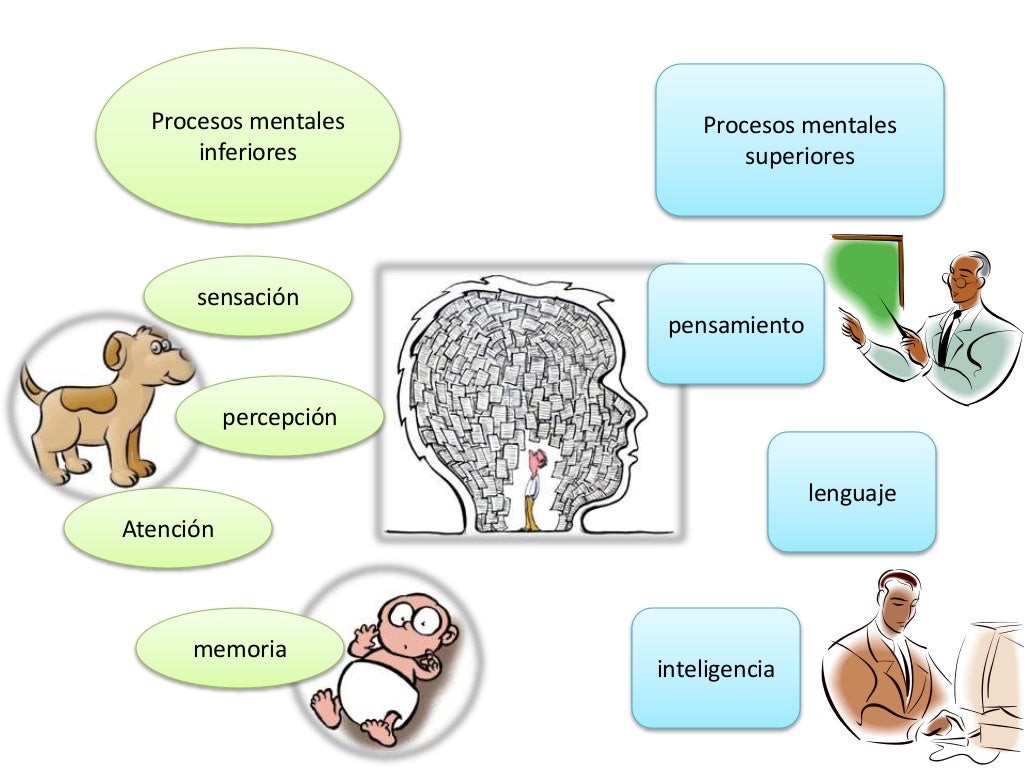 Los procesos mentales
