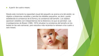 Los procesos sensoriales y perceptivos en el hombre prentacion | PPTX