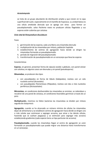 Los protistas heterótrofos | DOCX