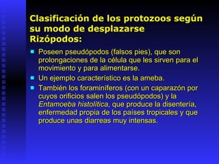 Los protozoarios | PPT