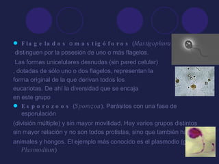 Los protozoos | PPS