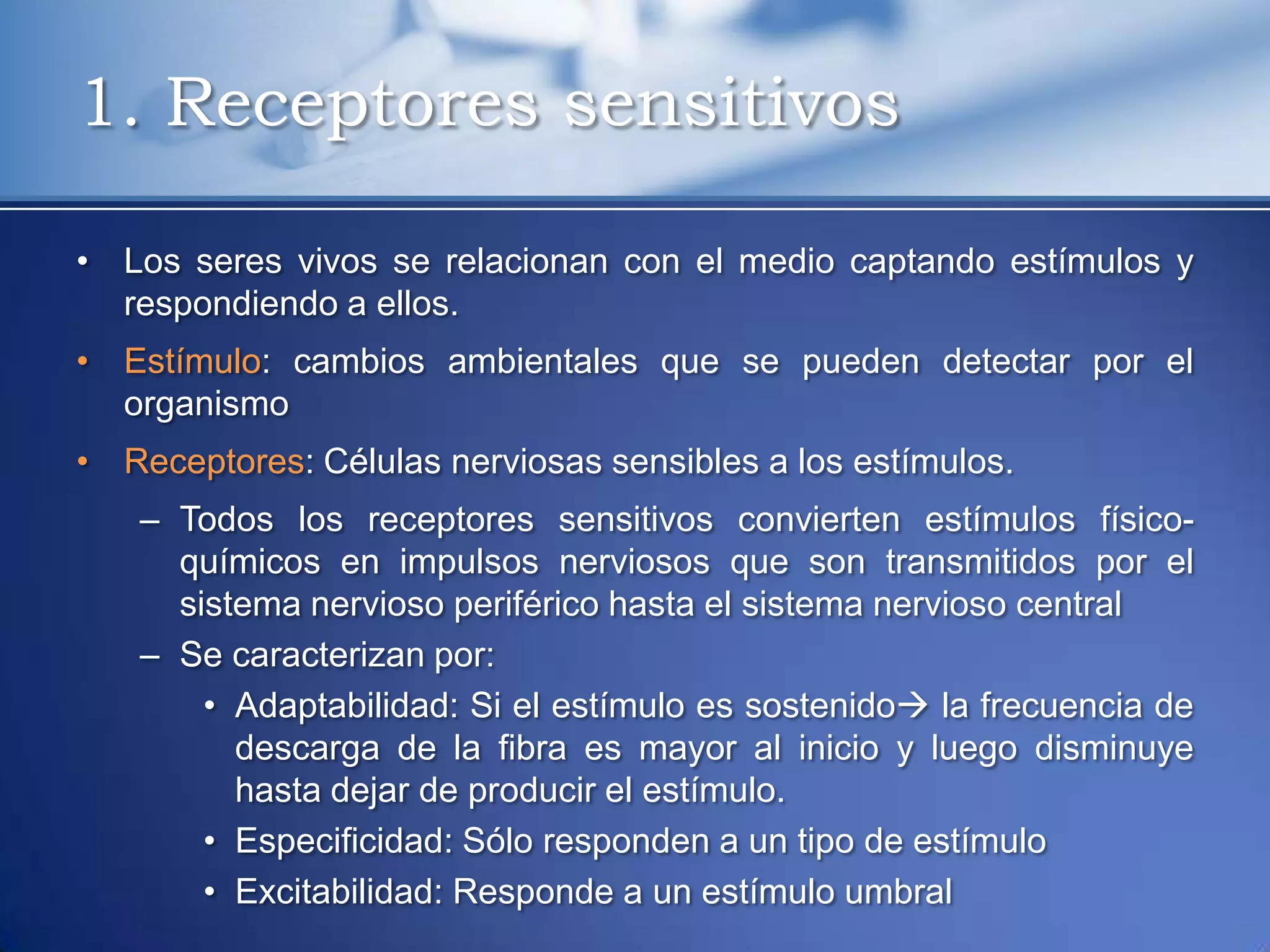 Los receptores | PPTX