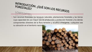 Los recursos forestales para niños .pptx