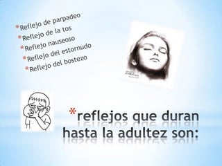 Los reflejos | PPTX