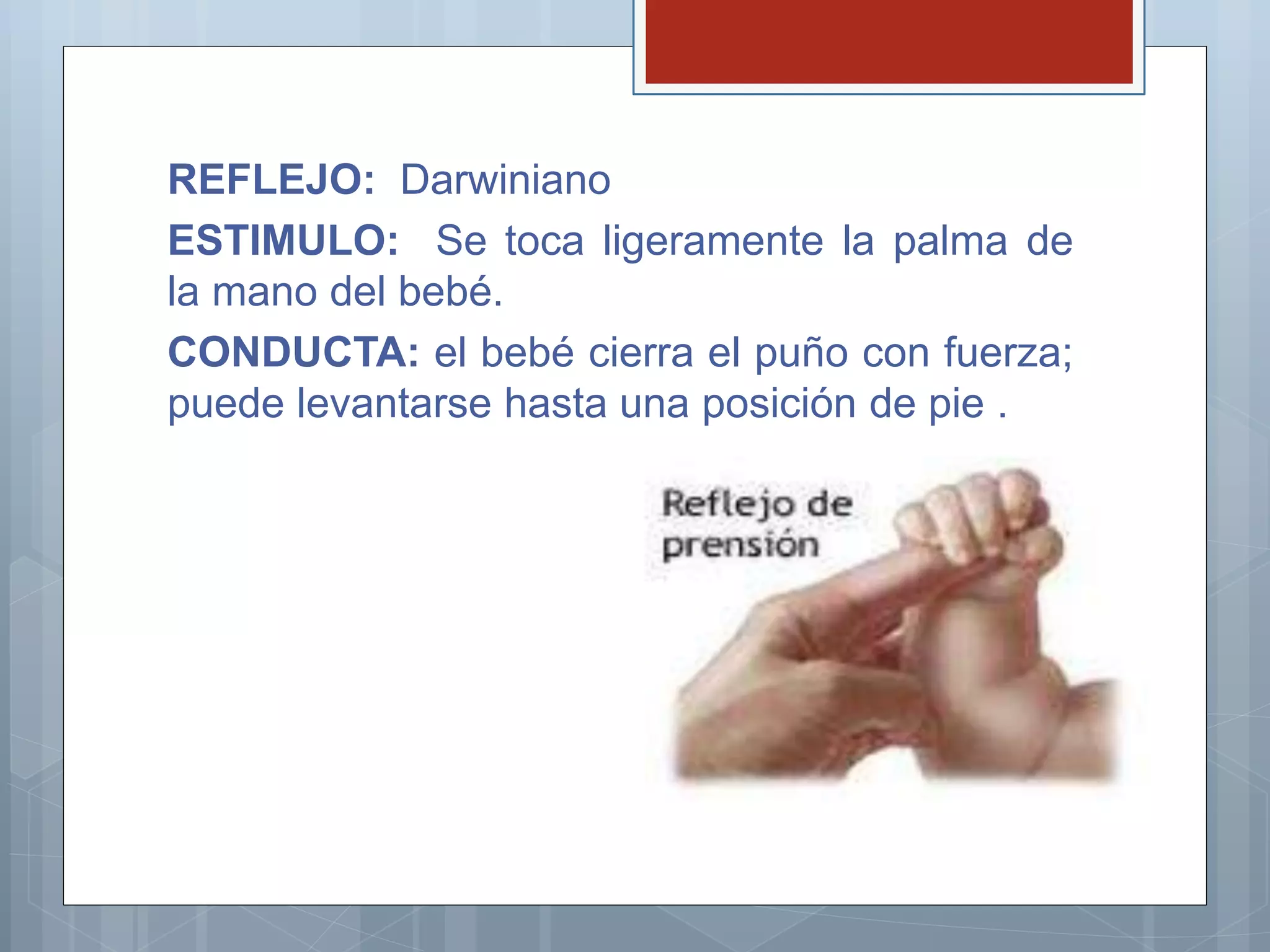 Los reflejos del recién nacido | PPTX