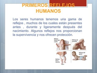Los reflejos del recién nacido | PPTX