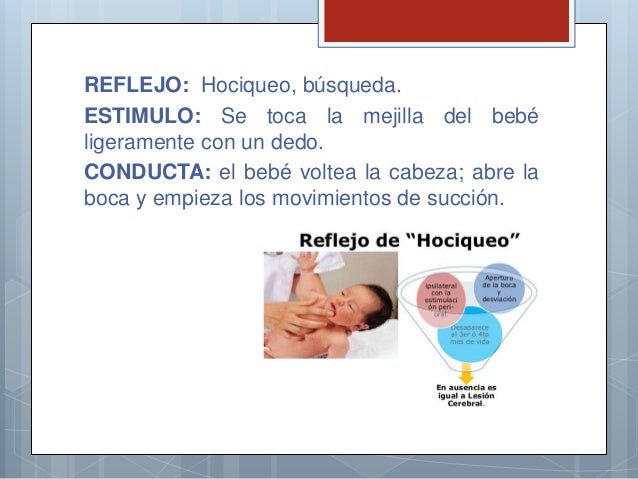 Los reflejos del recién nacido