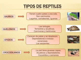 Los reptiles | PPTX