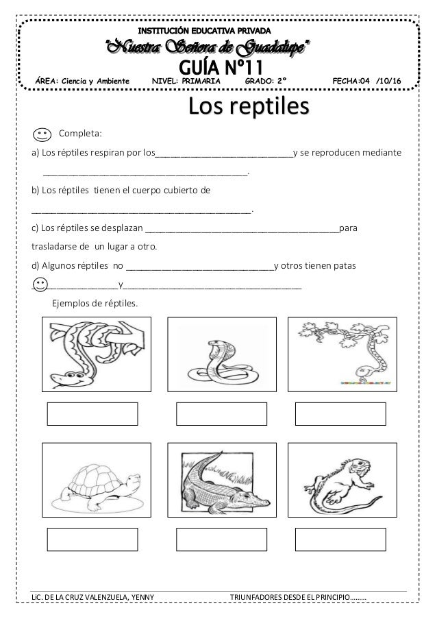 Los reptiles