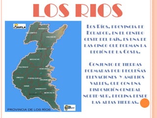 Los rios | PPTX
