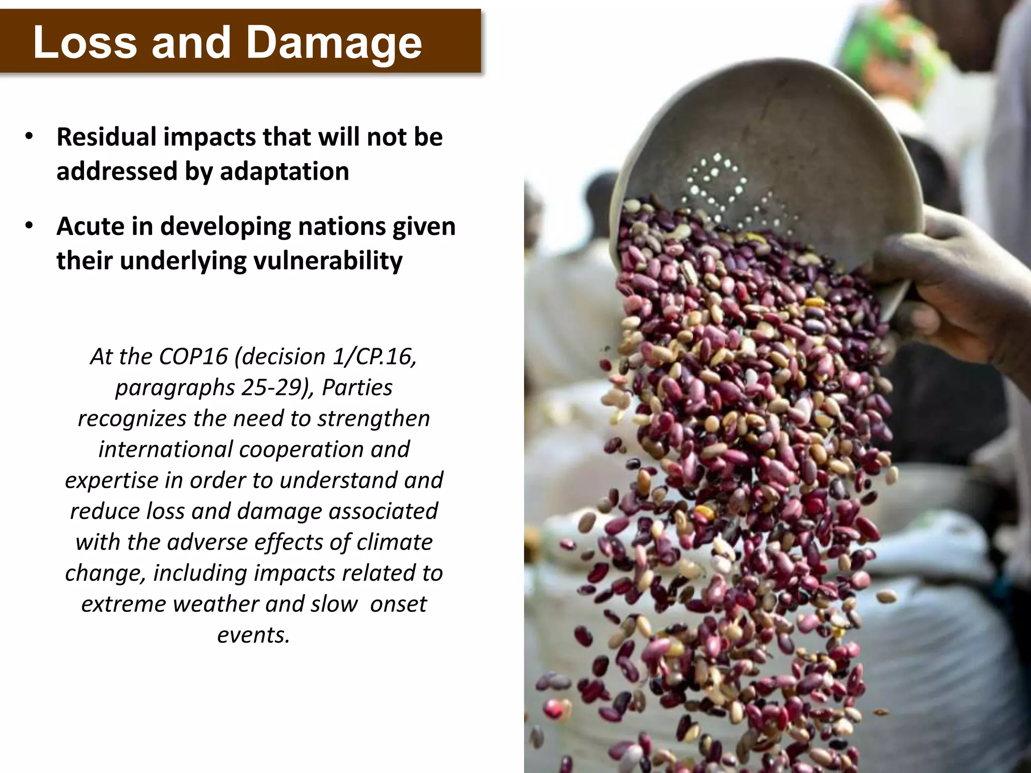 Loss and Damage Case Study CCAFS - ACPC Presentation | PPT