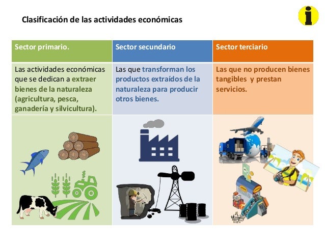 Los sectores económicos