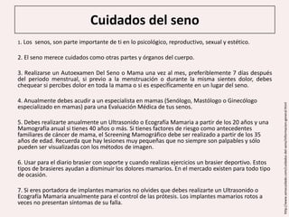 Los senos | PPTX
