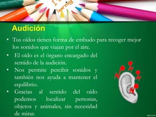 Los sentidos del ser humano | PPTX