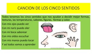 Los Sentidos | PPTX