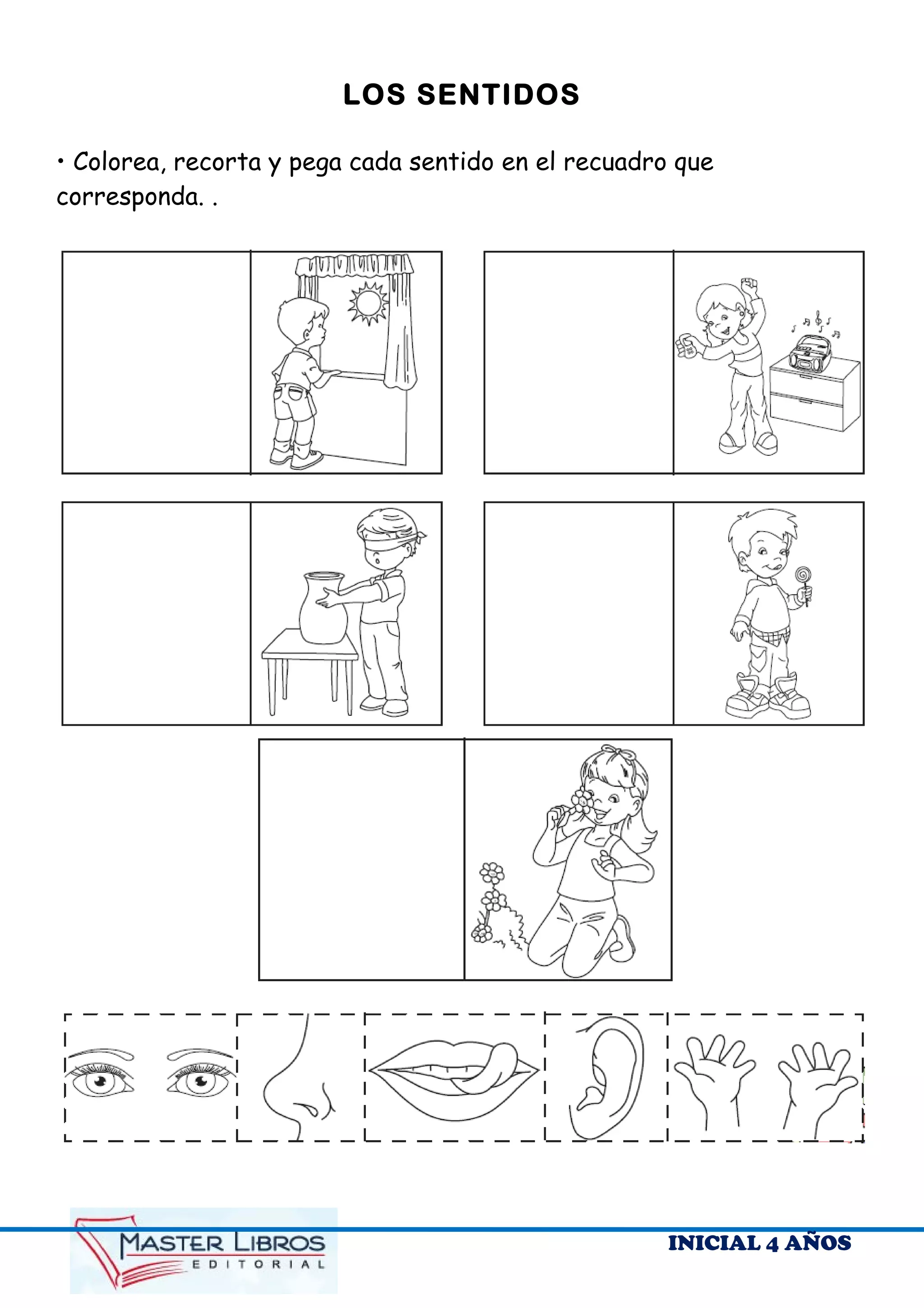 Hojas De Trabajo Sobre El Sentido Del Tacto