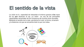 Los sentidos | PPTX