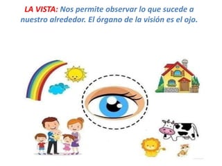 Los sentidos.ppt