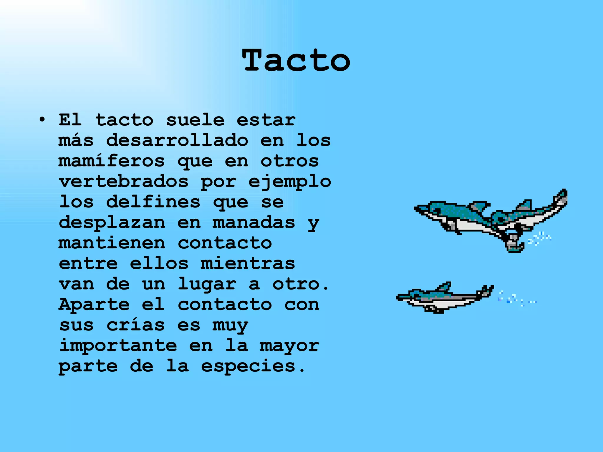 Los Sentidos De Los Animales[1] Jfc | PPT