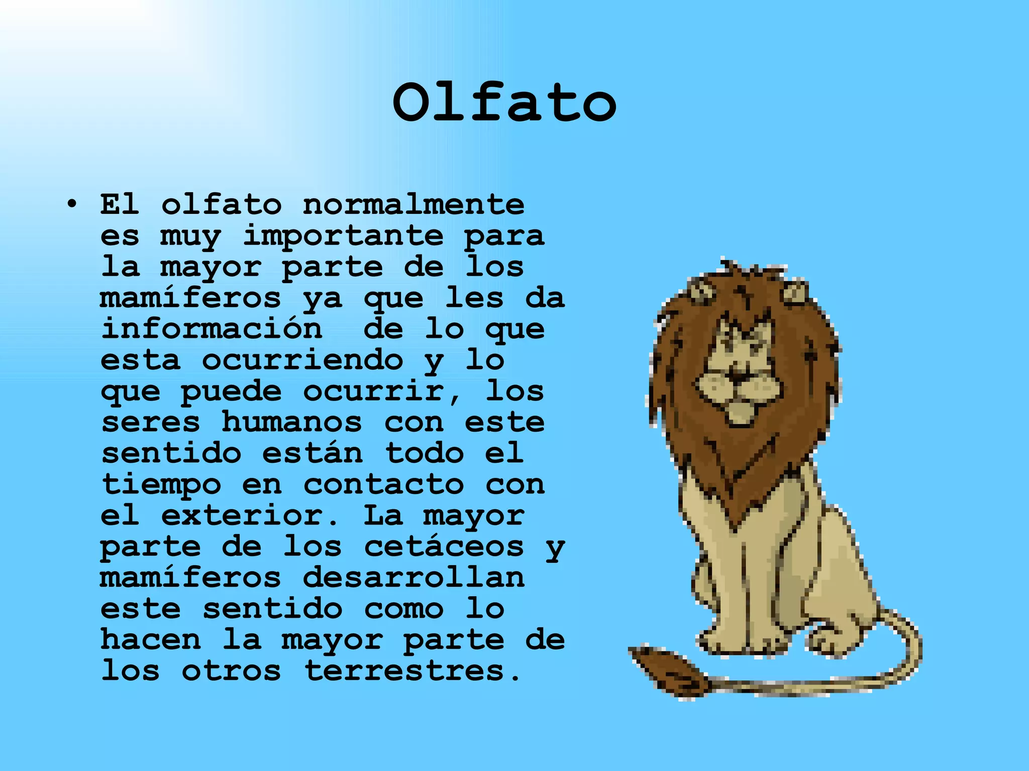 Los Sentidos De Los Animales[1] Jfc | PPT